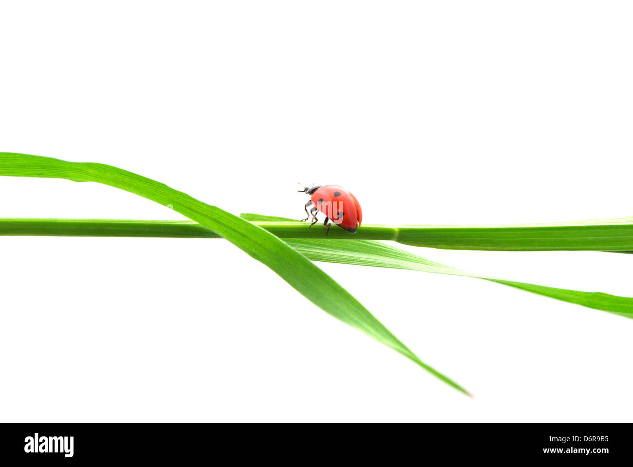 Og design hi-res stock photography and images - Alamy