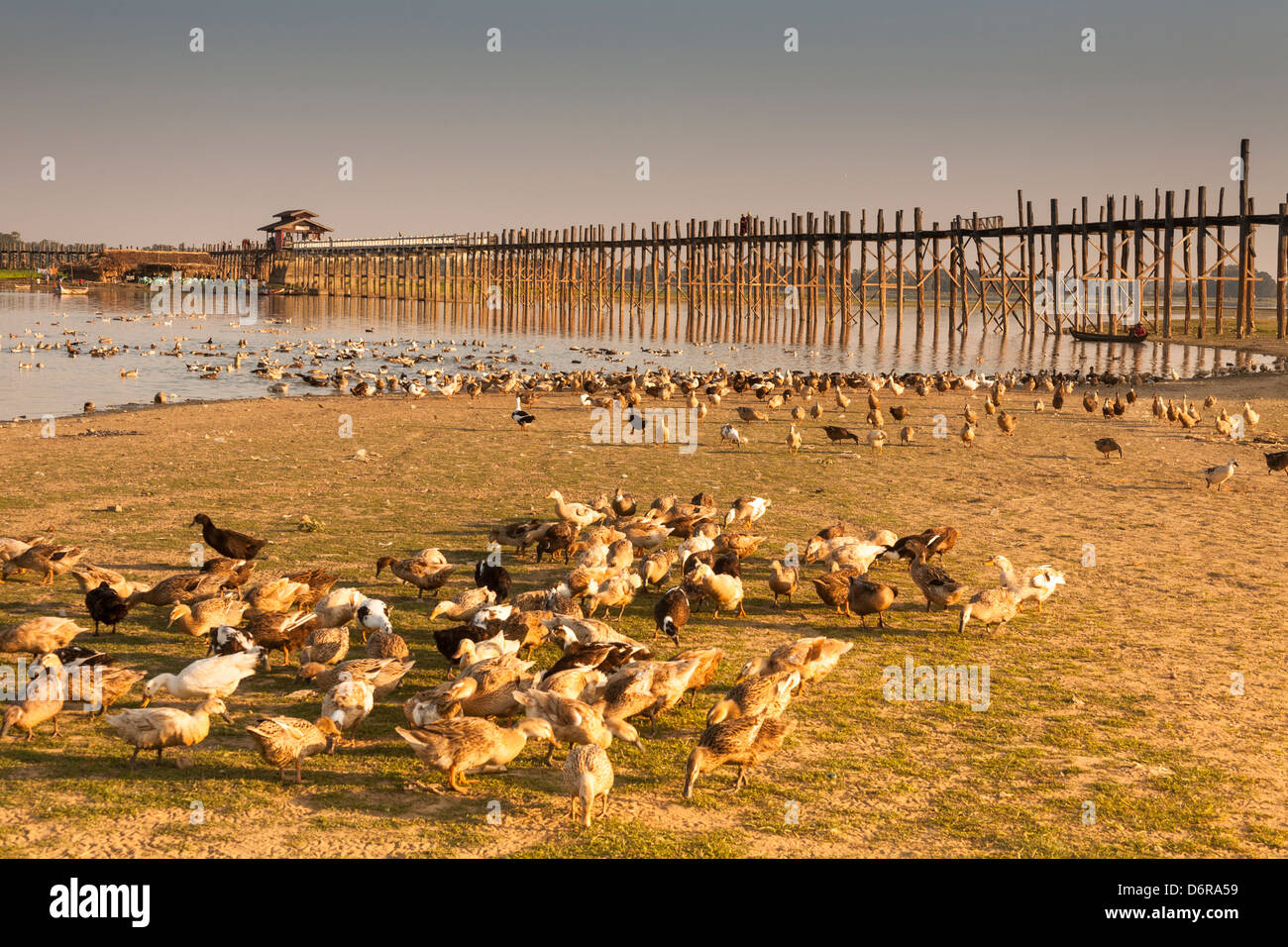 Worlds longest teak structure hi-res stock photography and images - Alamy