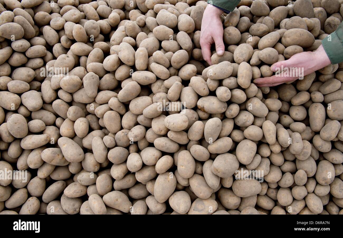 Sowed Stock Photos & Sowed Stock Images - Alamy