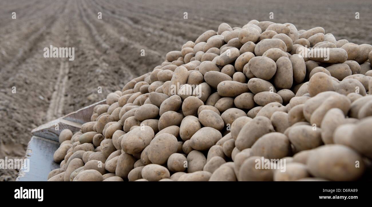 Sowed Stock Photos & Sowed Stock Images - Alamy
