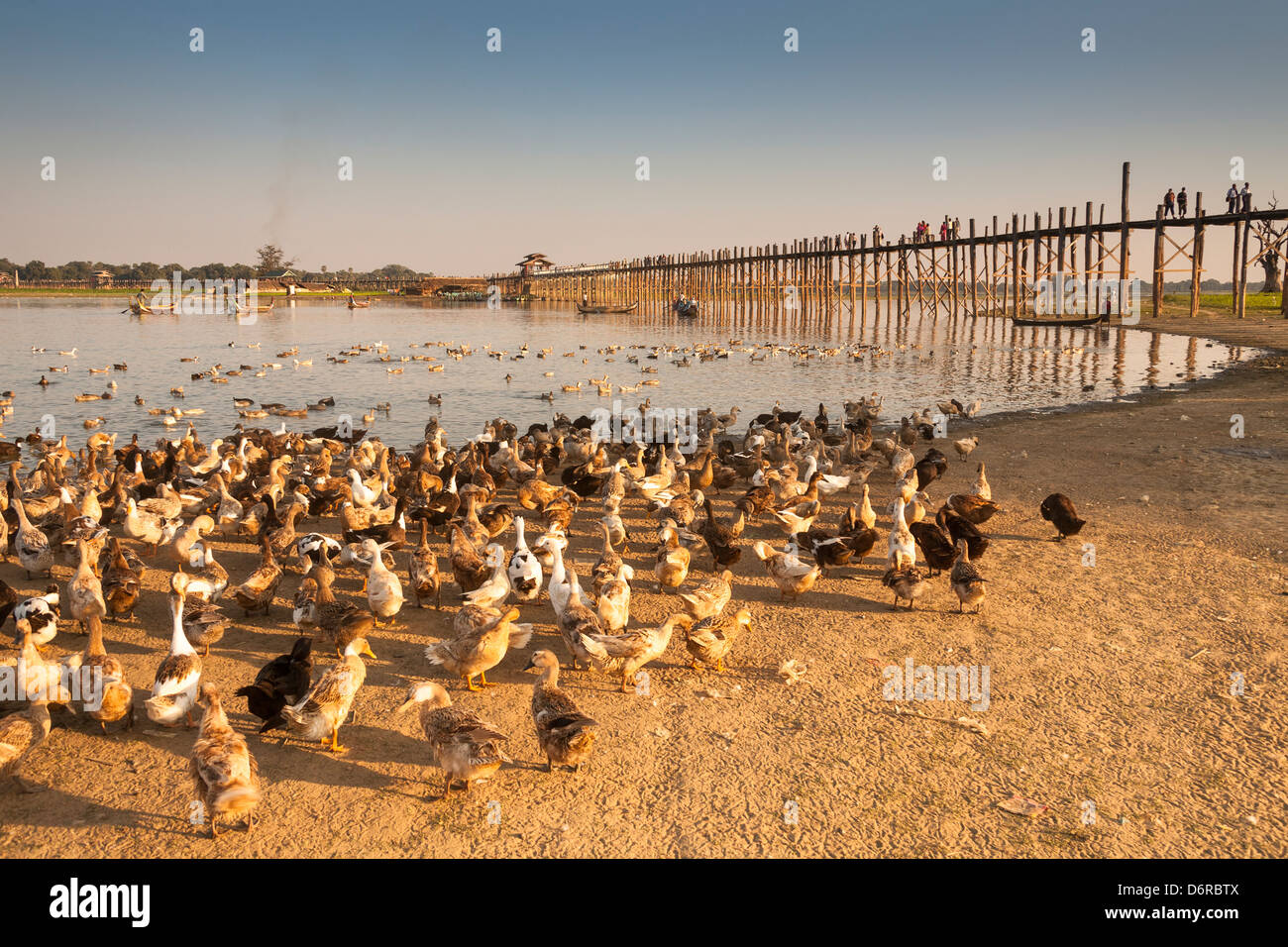 U Bein wooden bridge, world’s longest teak footbridge, crossing ...