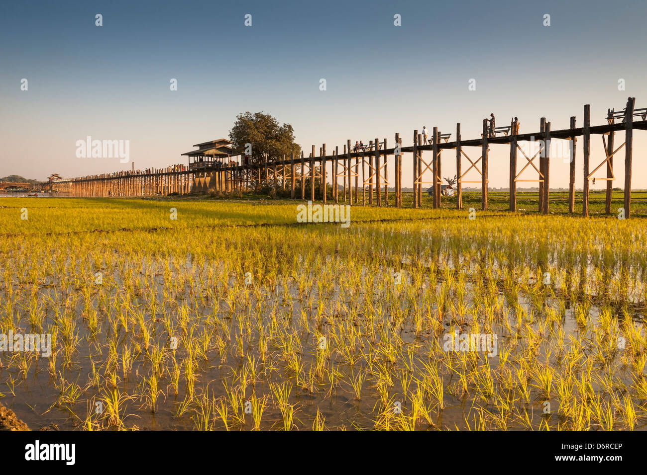 Worlds longest teak structure hi-res stock photography and images - Alamy