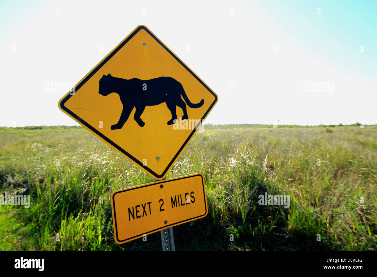 Florida Panther Crossing Sign in Everglades National Park, Florida, USA ...