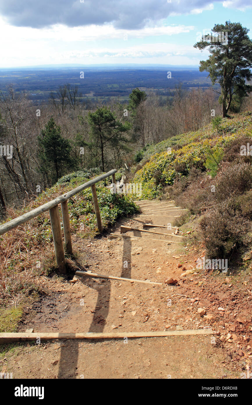 Leith Hill near Dorking Surrey England UK Stock Photo - Alamy