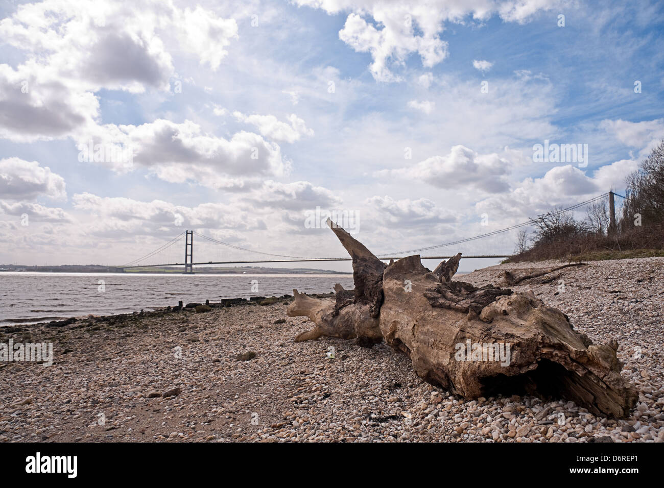 Landscape photograph of the Humber Bridge, showing drift wood on Hessle ...