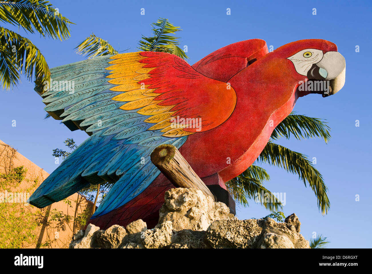 Parrot jungle miami hi-res stock photography and images - Alamy
