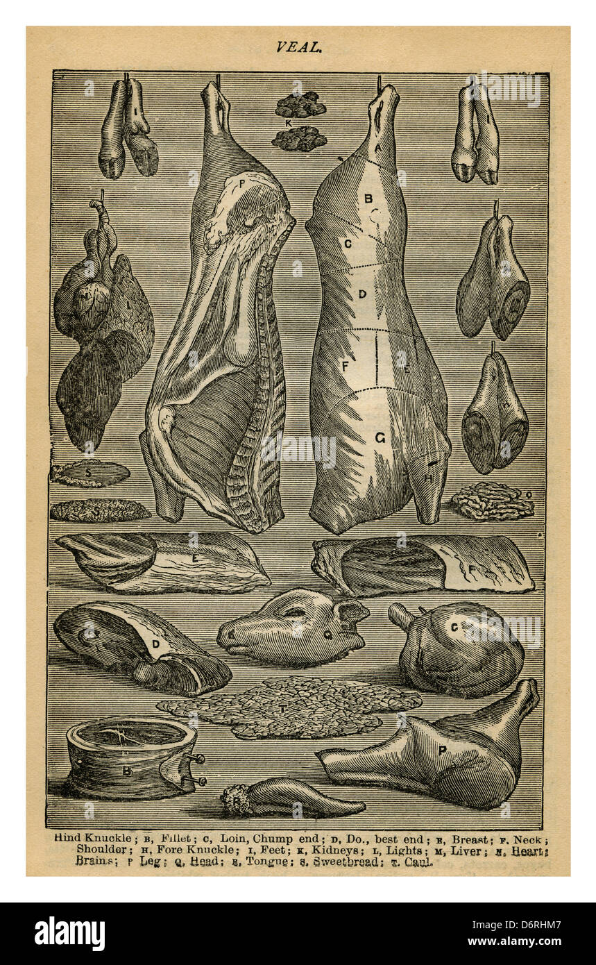 1890's Mrs Beetons Cookery Book illustration of variety of Victorian ...