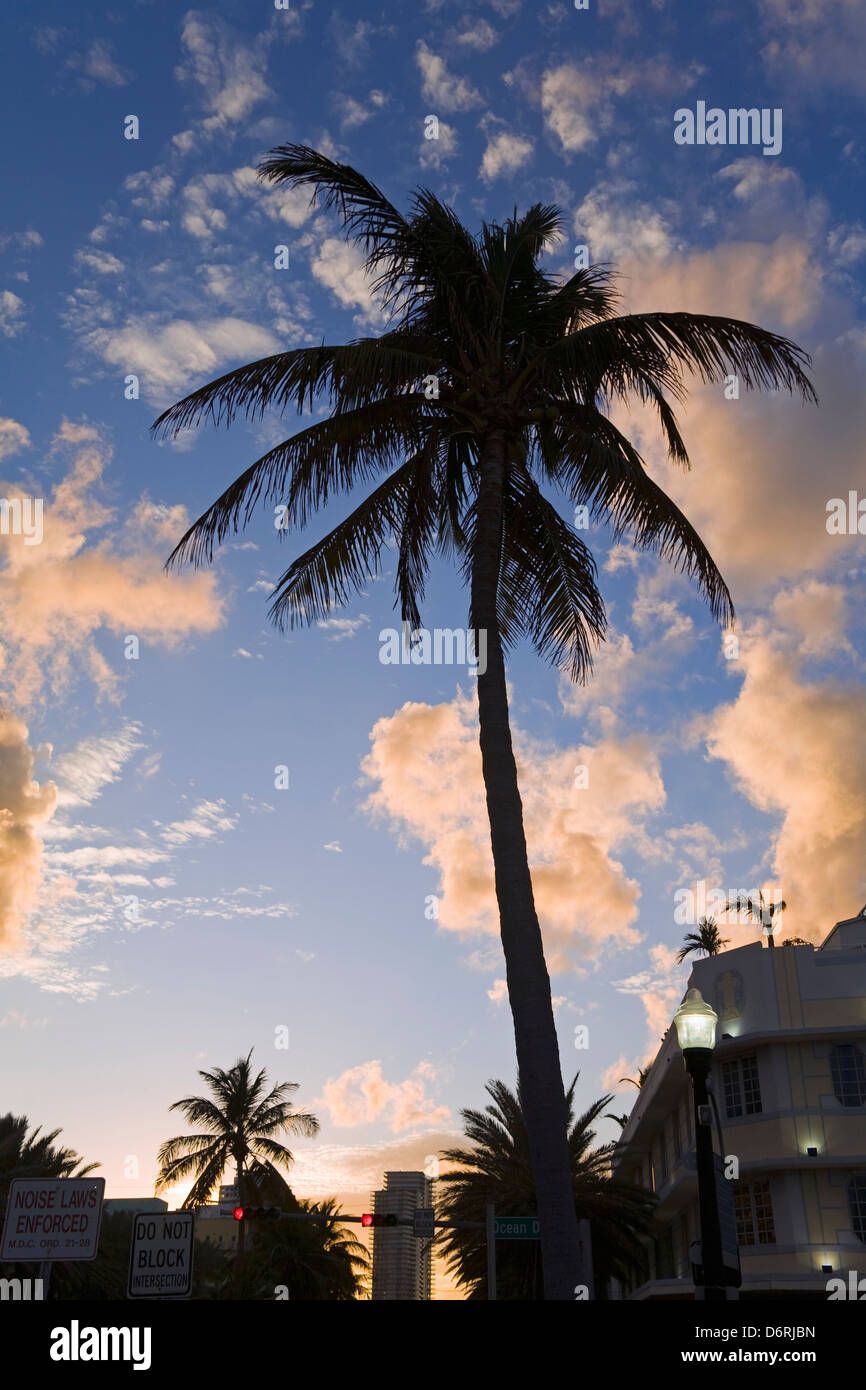 Miami dade silhouette hi-res stock photography and images - Alamy