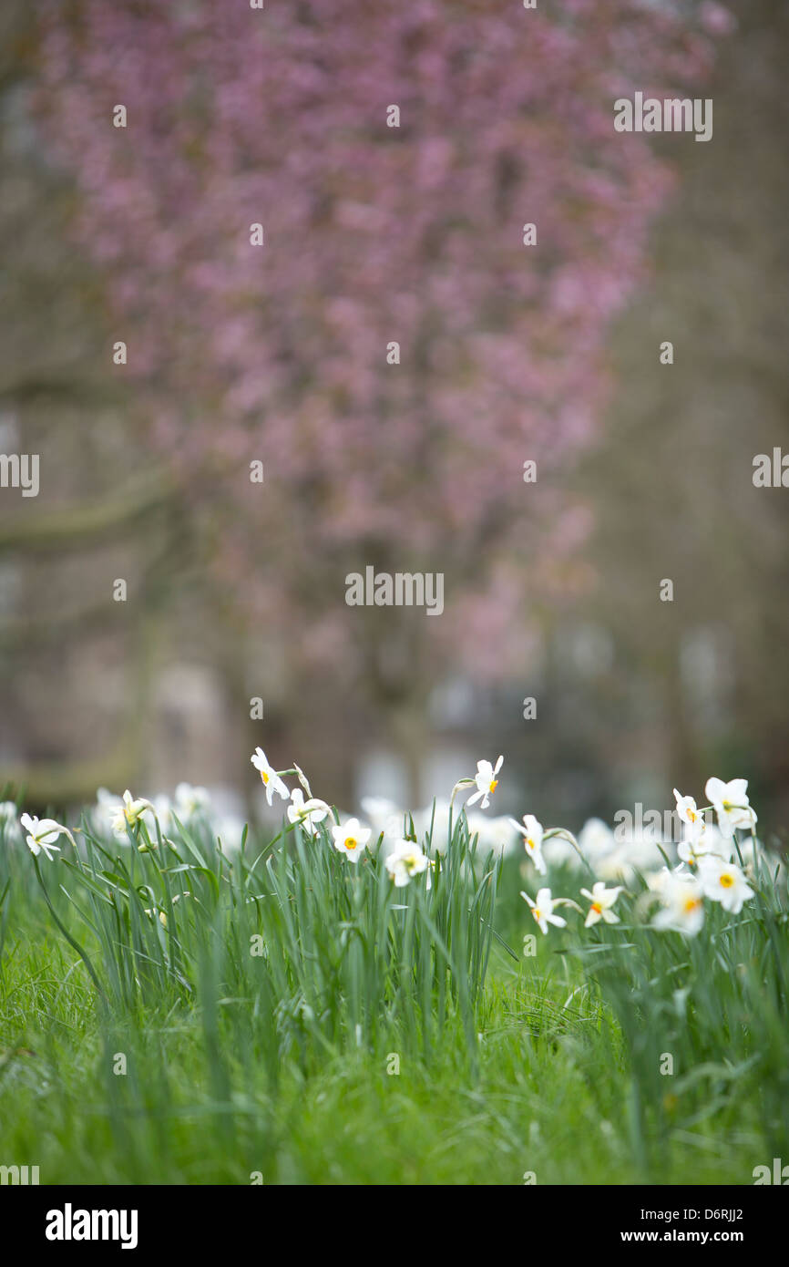 London colors hi-res stock photography and images - Alamy