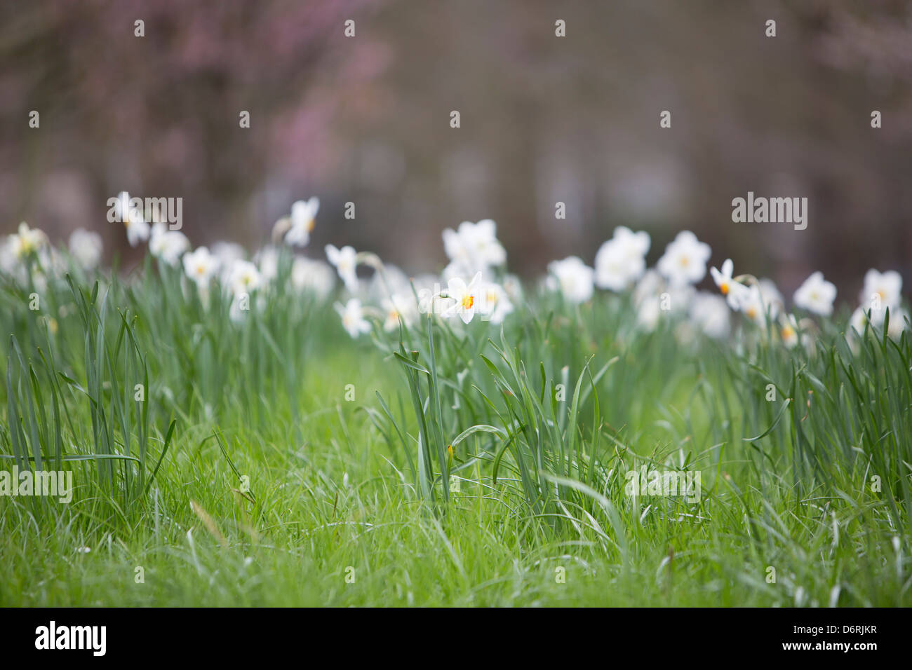 London colors hi-res stock photography and images - Alamy