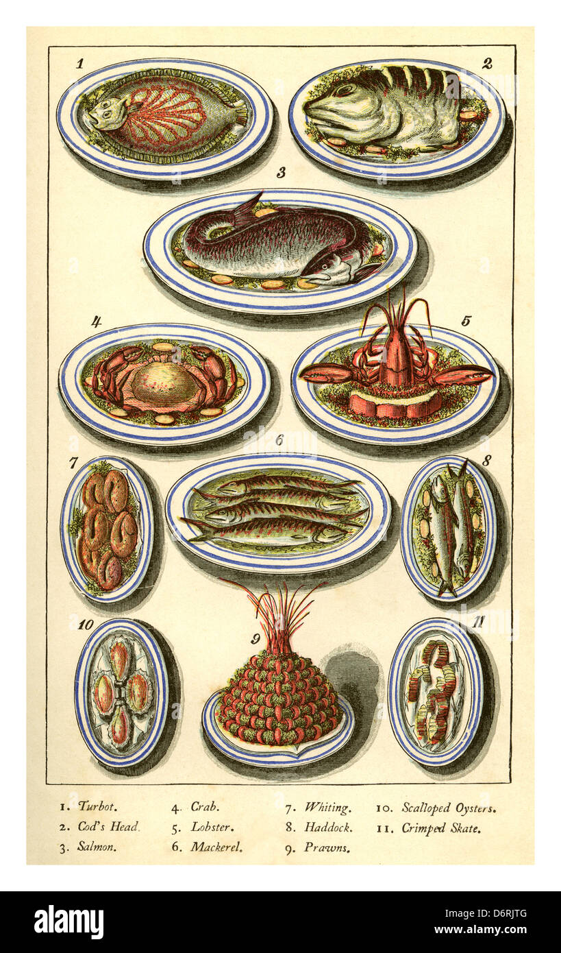 Warne's Model Cookery and Housekeeping Book 1888 illustrating variety ...