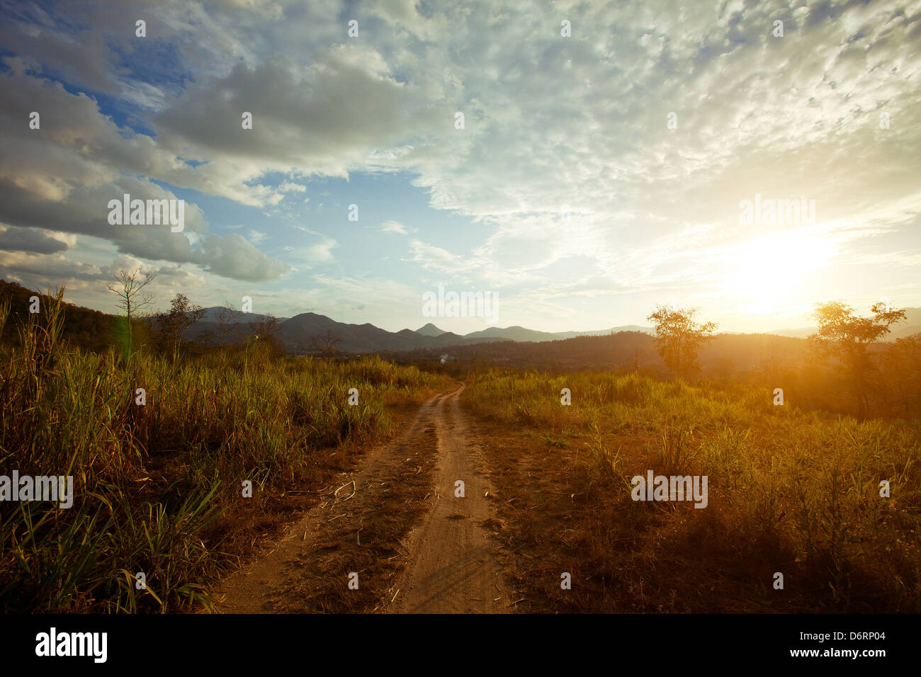 Urban nature abstract hi-res stock photography and images - Alamy