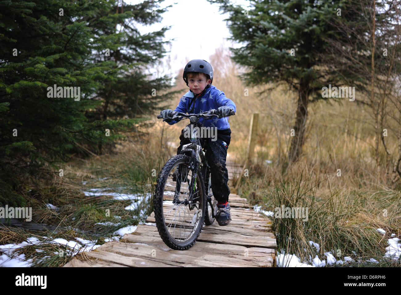 Young boy riding a Mountain Bike in Gisburn Forest Stock Photo - Alamy