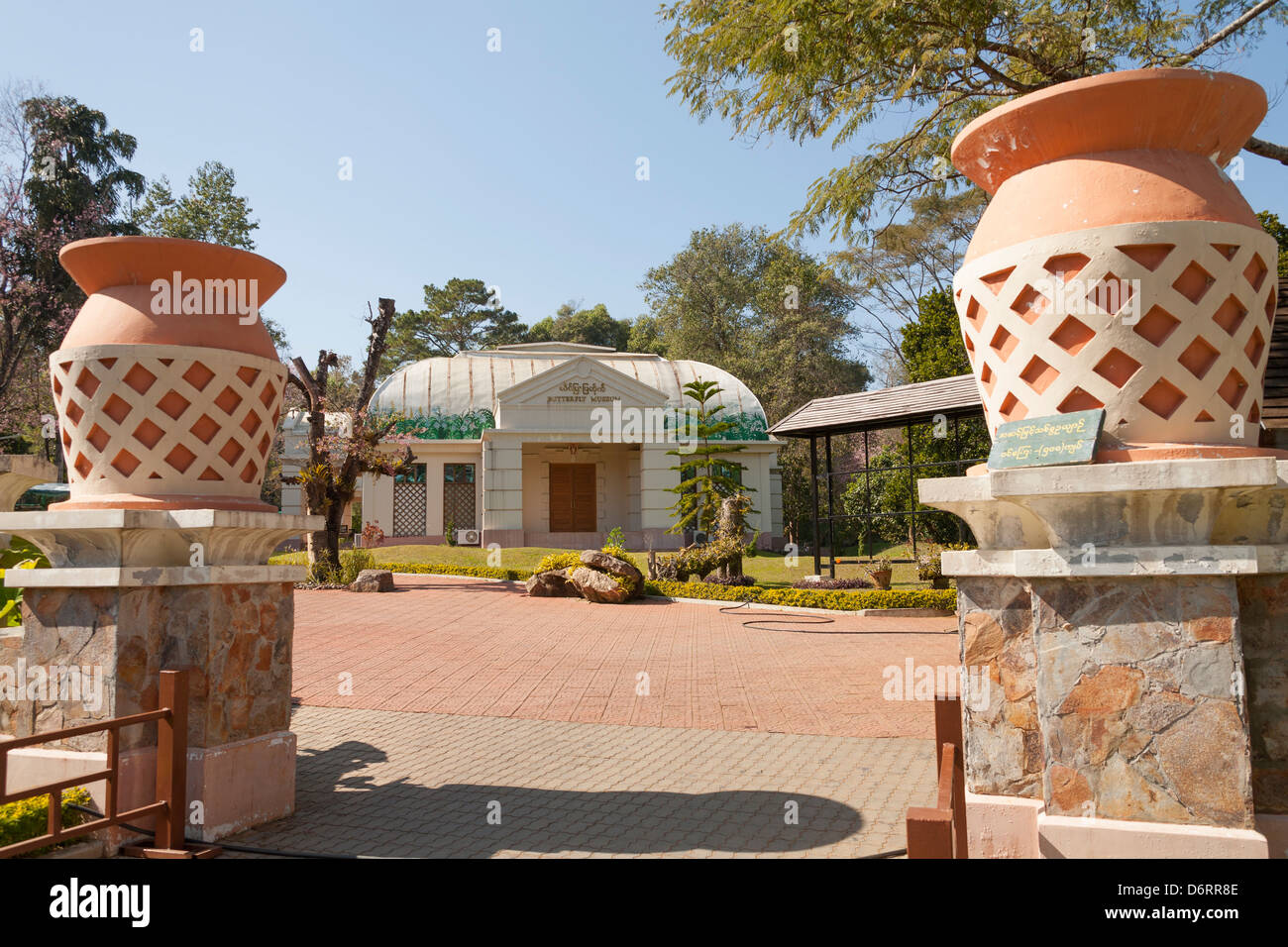 Butterfly Museum, National Kandawgyi Gardens, Pyin Oo Lwin, (Pyin U ...