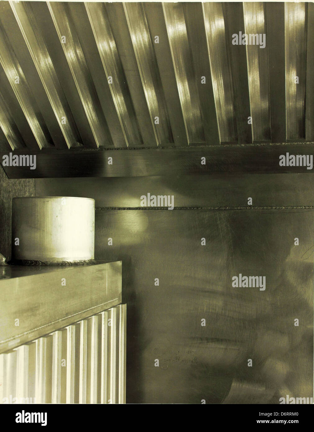 Specific plant components hi-res stock photography and images - Alamy