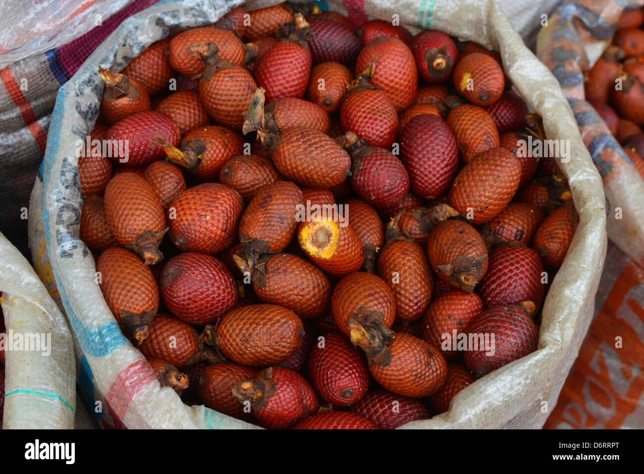 Aguaje amazonian superfruit hi-res stock photography and images - Alamy