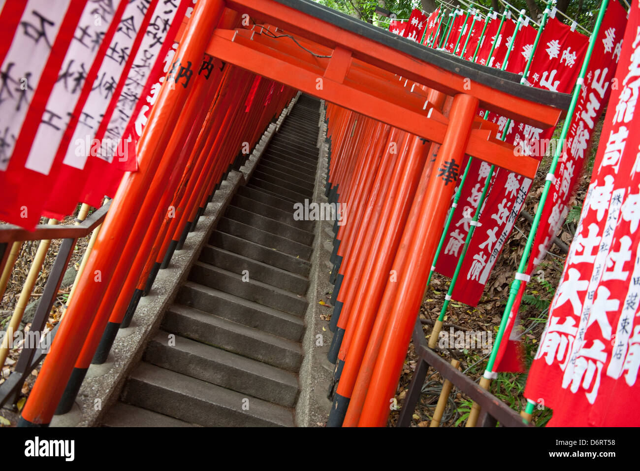 Torii gates, Tokyo Stock Photo - Alamy