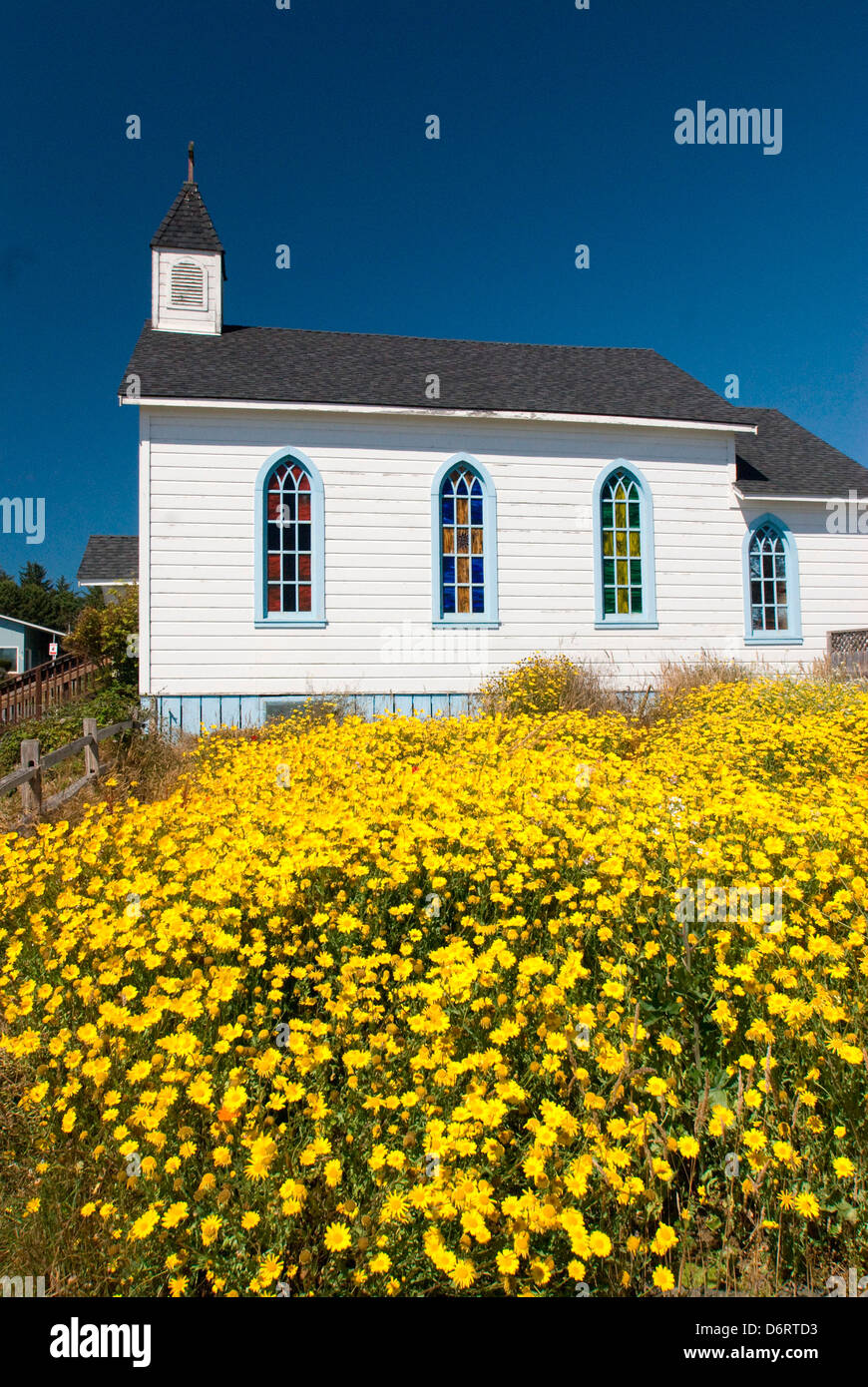 Holy flowers hi-res stock photography and images - Alamy