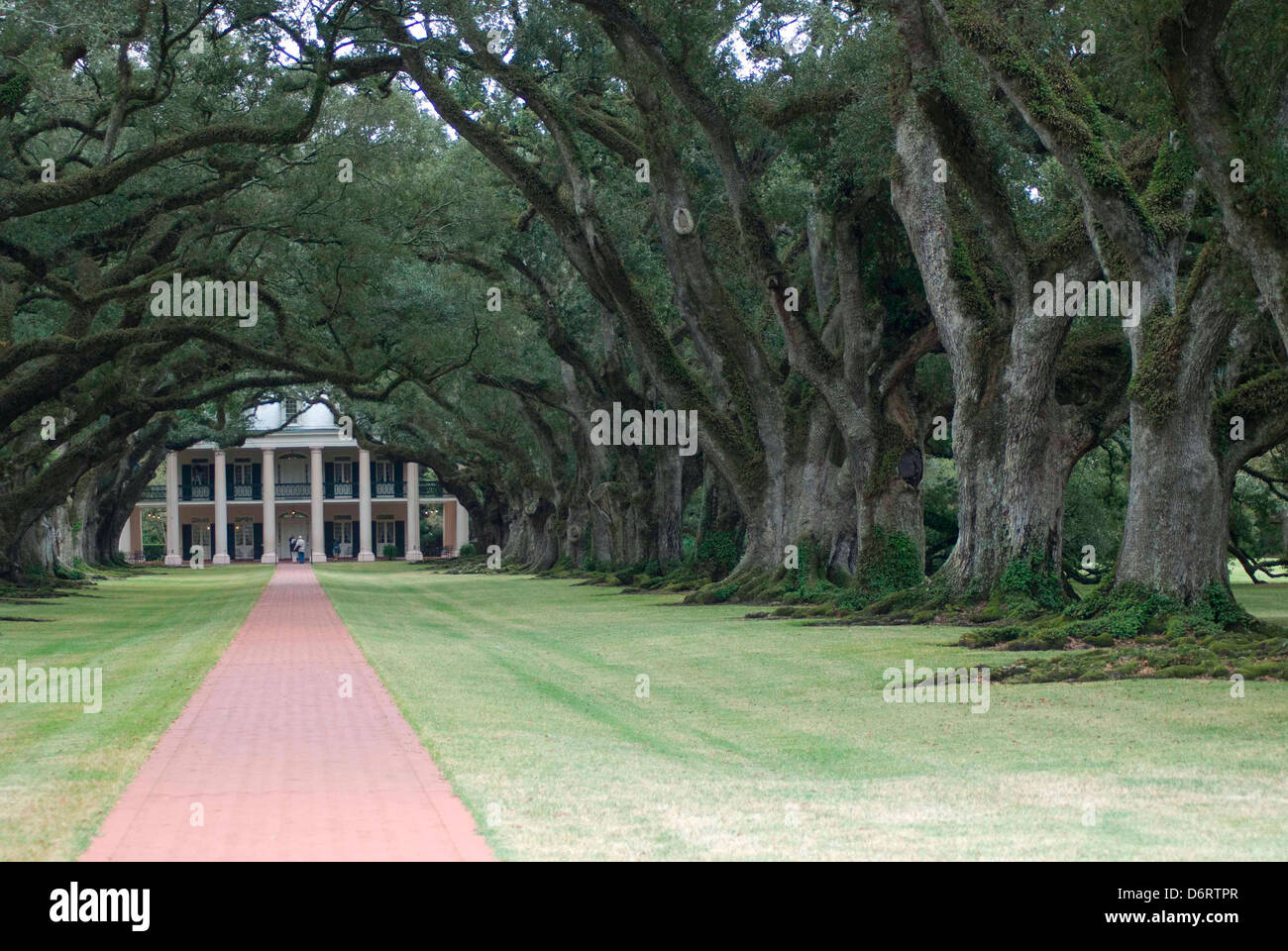 USA, Louisiana, Vacherie, Oak Alley Plantation Stock Photo - Alamy