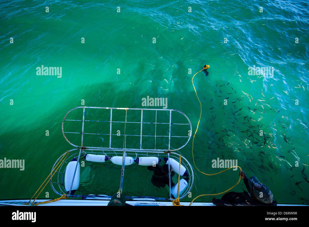 Shark Infested Waters Sign