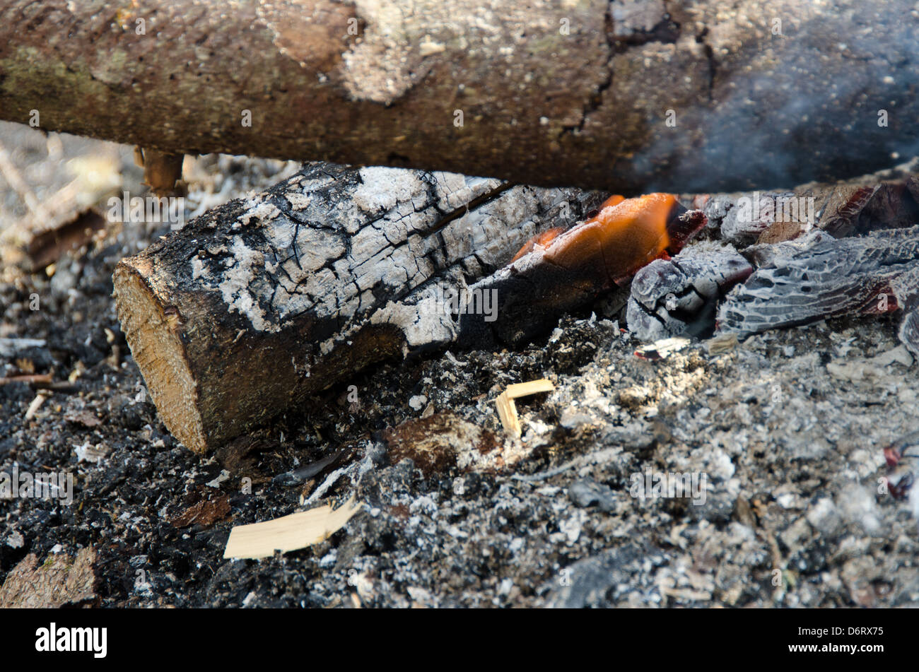 The ashes of a dying campfire with a small flame still licking at the ...