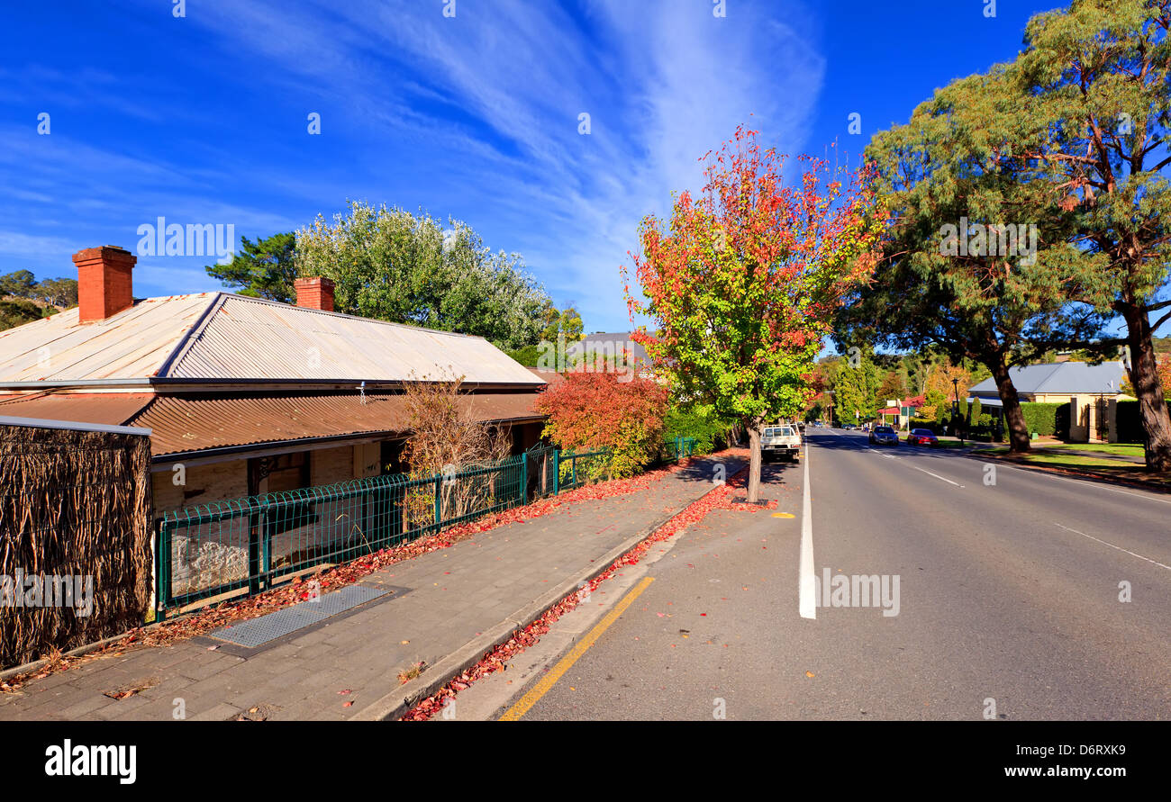 house front green fence old cottage gate footpath main street Clarendon ...
