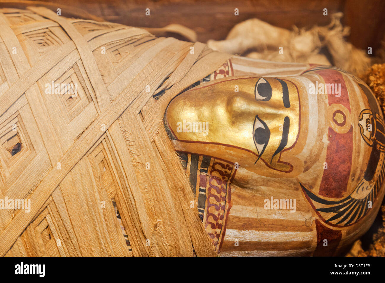 Egyptian mummy hi-res stock photography and images - Alamy