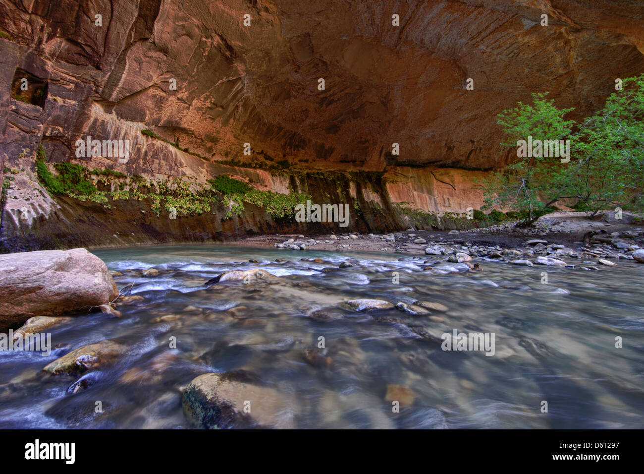 A walk in the Virgin River at Zion National Park Stock Photo - Alamy