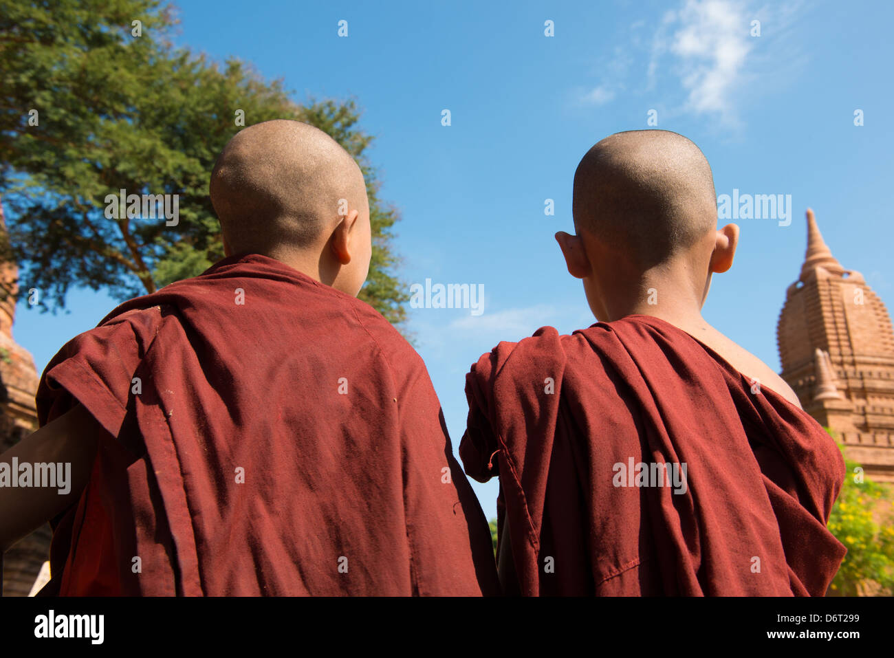 Novice monk and friend hi-res stock photography and images - Alamy