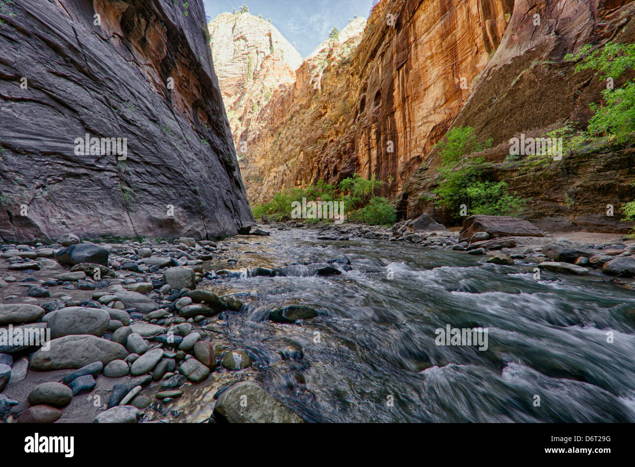 A walk in the Virgin River at Zion National Park Stock Photo - Alamy