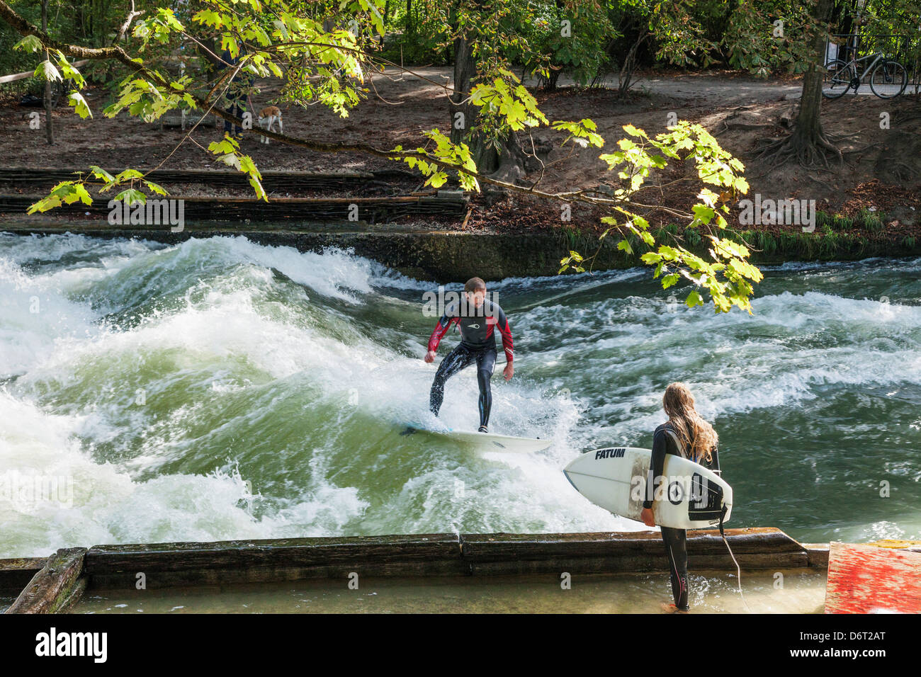 Man surfing in a river, Eisbach River, English Garden, Munich, Bavaria ...