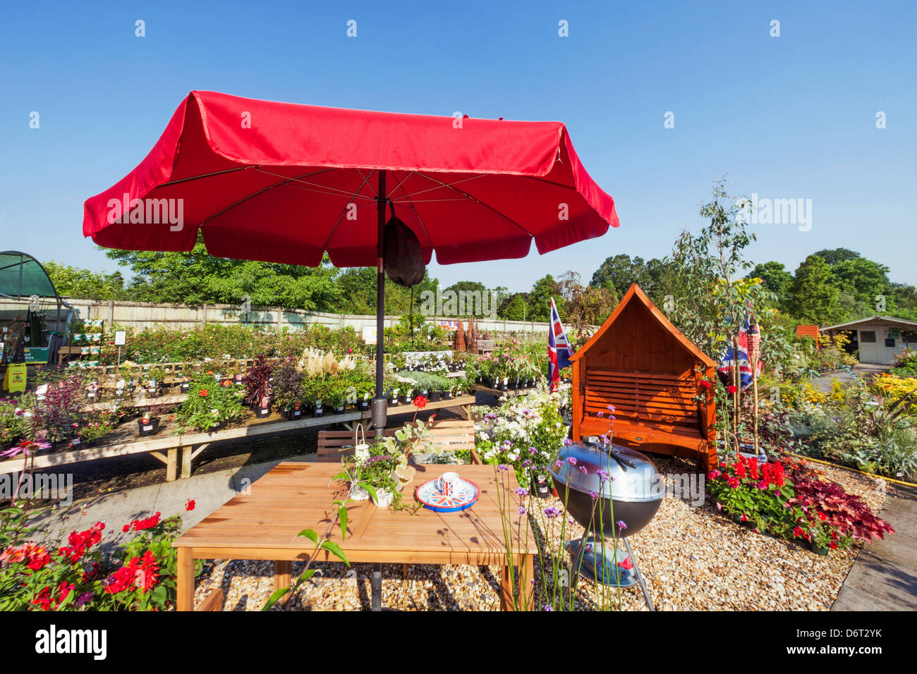 UK, England, Hampshire, Romsey, Hillier Garden Centre, Flowers with ...