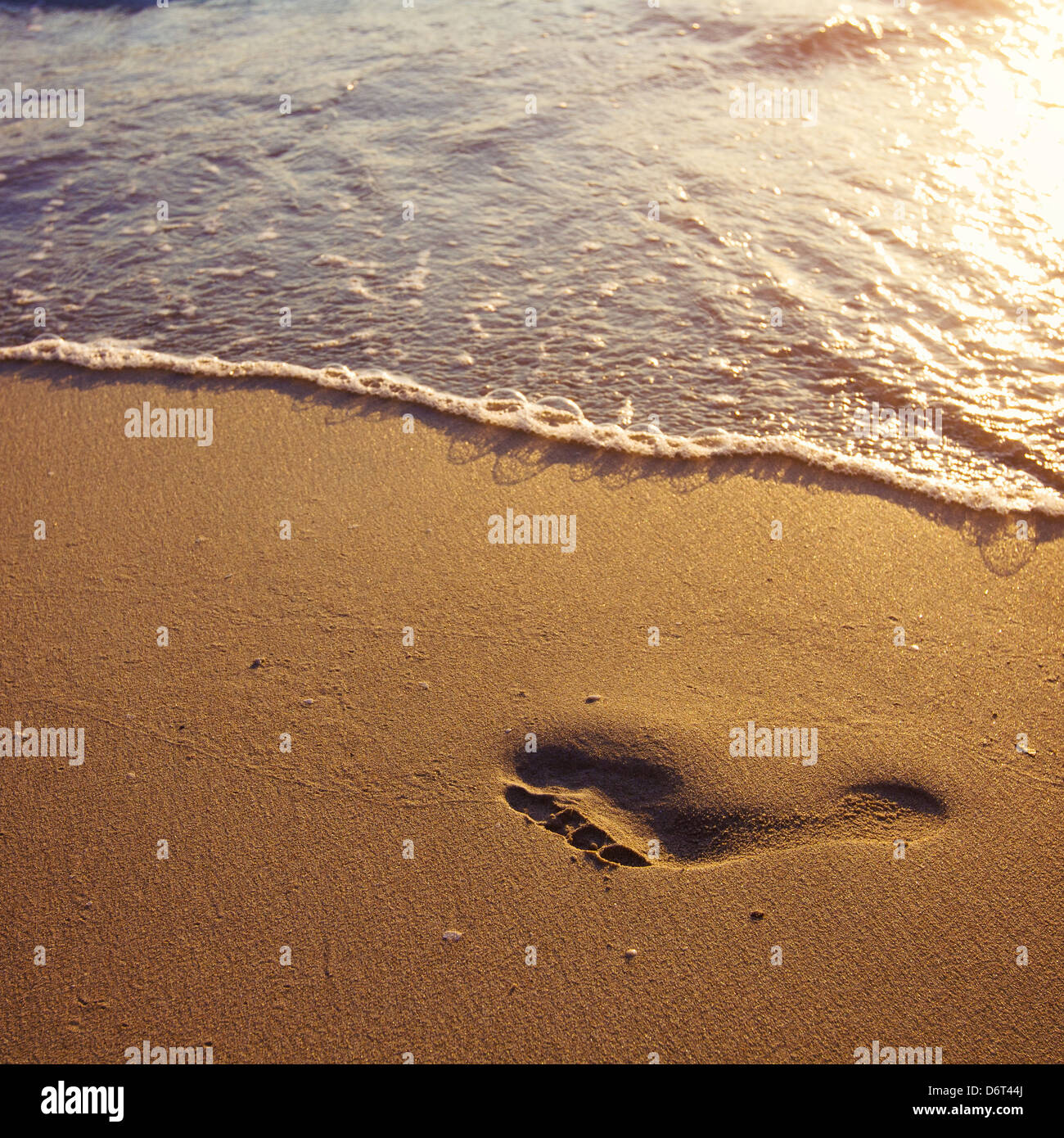 Footprint of life hi-res stock photography and images - Alamy