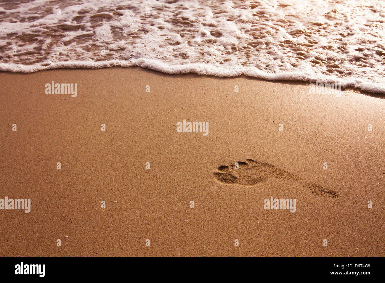 Footprint in the sand on the beach Stock Photo - Alamy