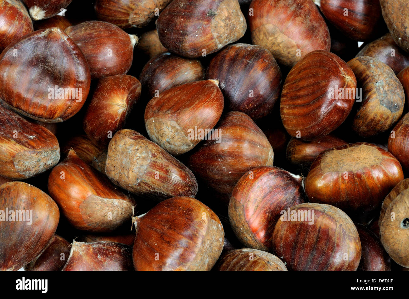 Chestnuts in shells hi-res stock photography and images - Alamy