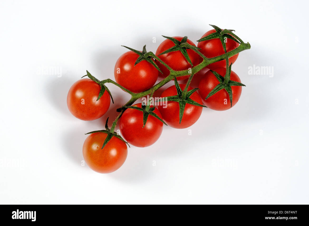 Eight red cherry tomatoes hi-res stock photography and images - Alamy