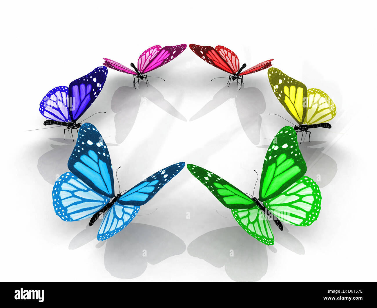 the beautiful butterfly with wings Stock Photo - Alamy