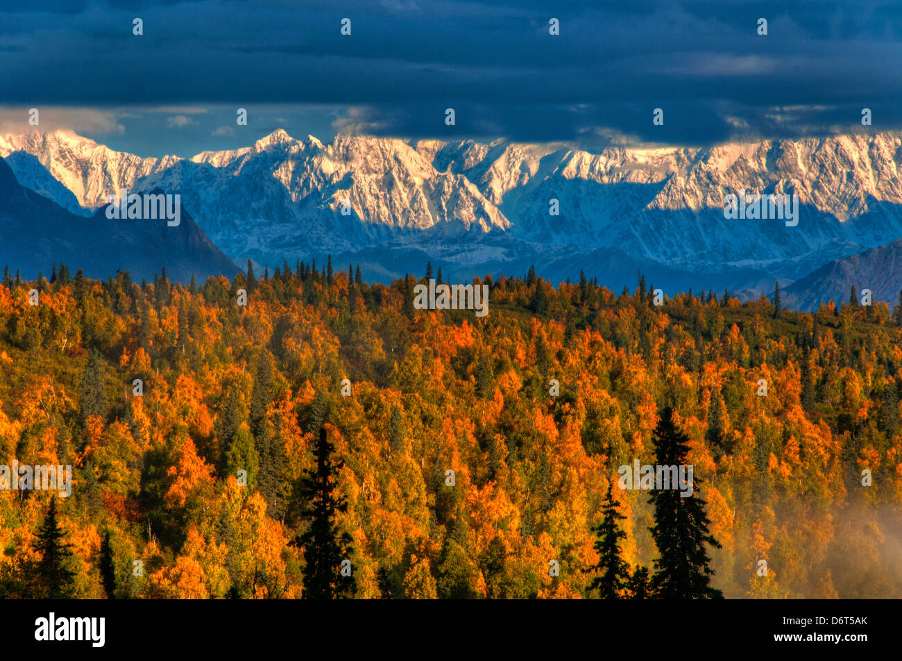 Alaska Range with fall colors in foreground Stock Photo - Alamy