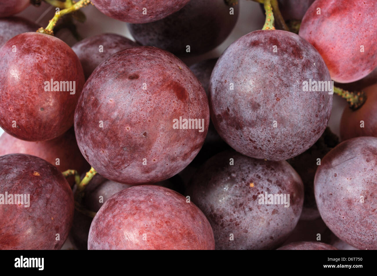 A bunch of red grapes Stock Photo - Alamy