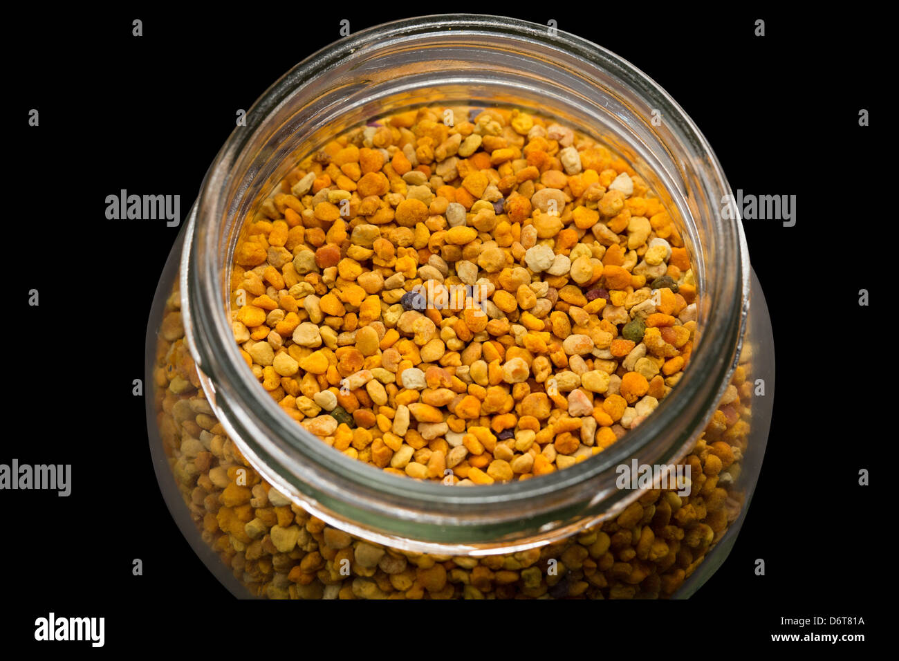 Black pollen hi-res stock photography and images - Alamy