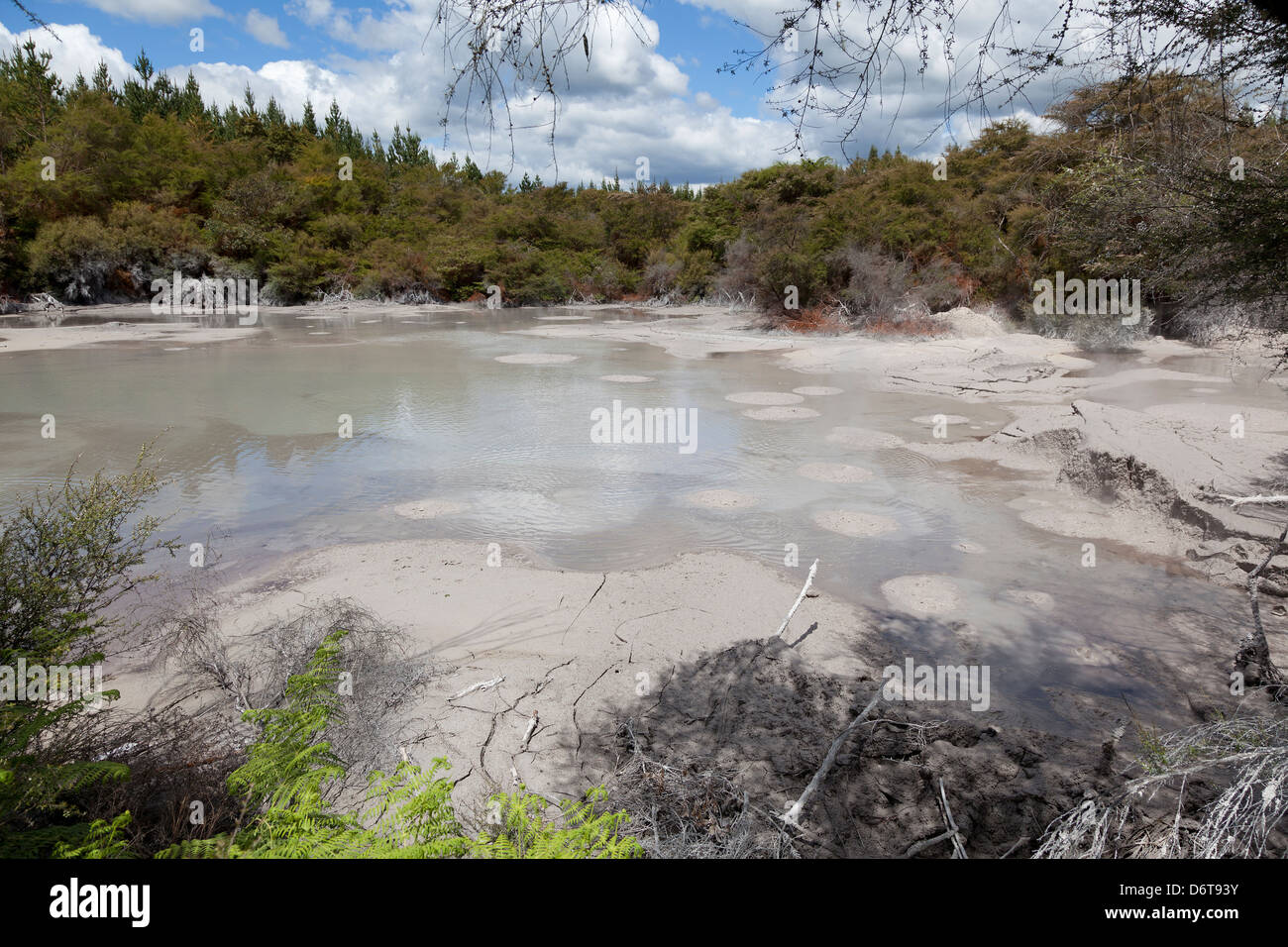 Mud pools in Wai-O-Tapu Geothermal Reserve Rotorua, New Zealand Stock ...