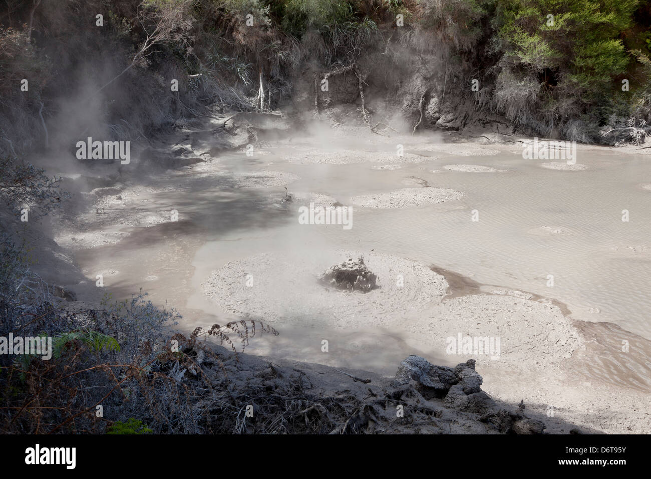 Mud pools in Wai-O-Tapu Geothermal Reserve Rotorua, New Zealand Stock ...