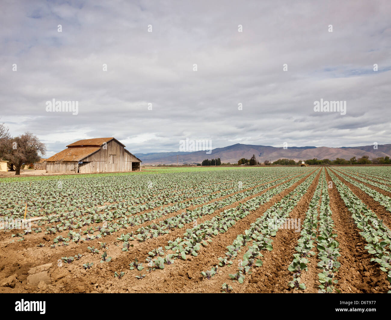 Soledad mountain hi-res stock photography and images - Alamy