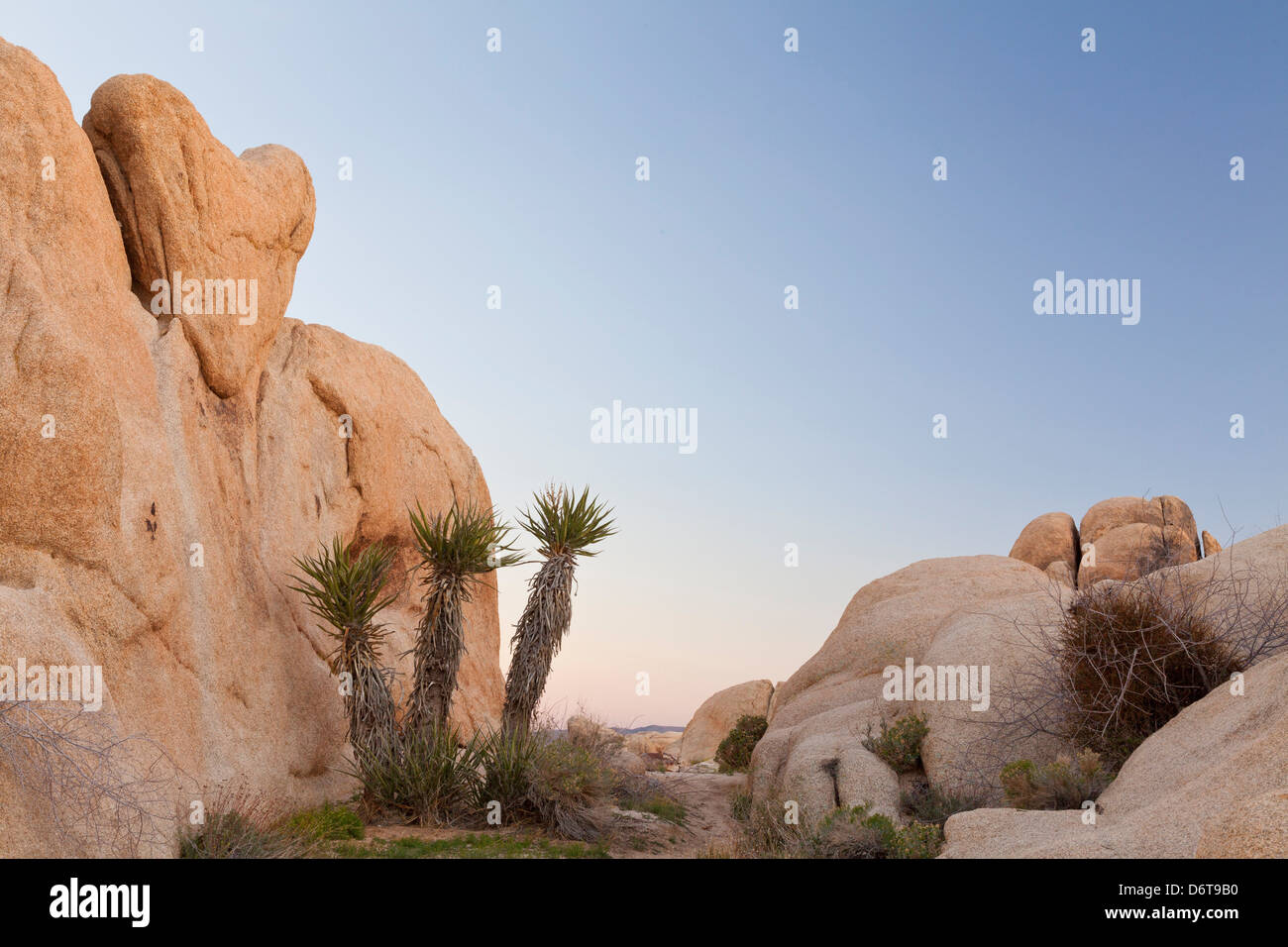Heart rock joshua tree hi-res stock photography and images - Alamy