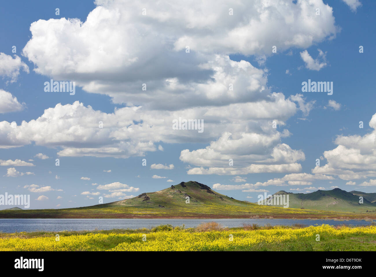 Lake success hi-res stock photography and images - Alamy