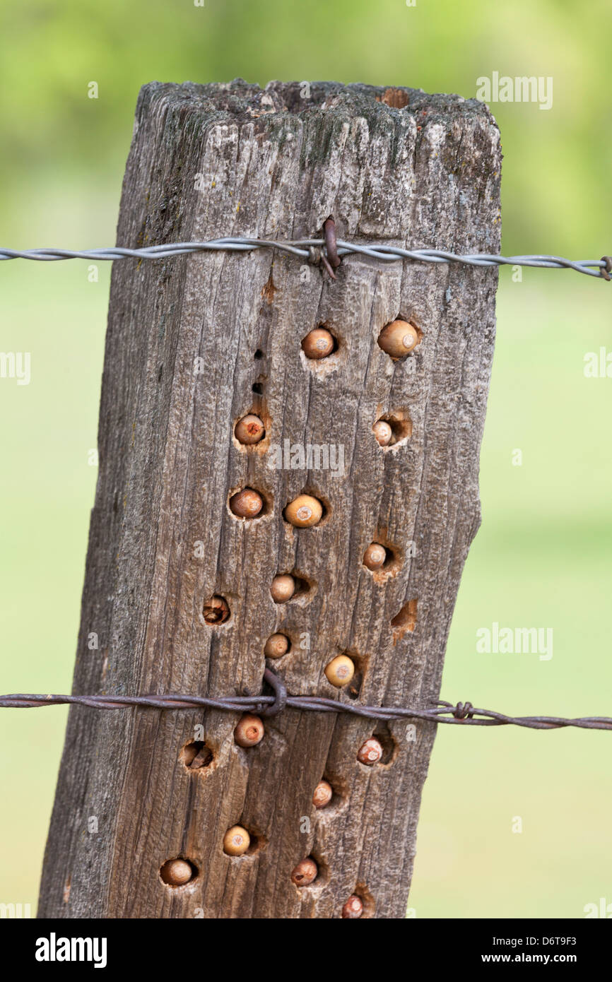 Old don pedro road hi-res stock photography and images - Alamy