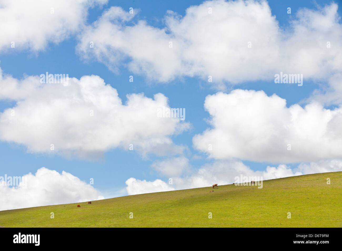 USA, California, Birds Landing, View of farm fields Stock Photo - Alamy