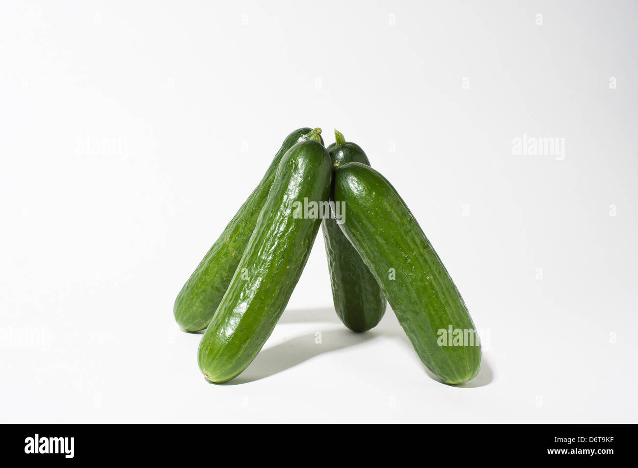 Persian organic cucumbers standing up balanced on white background ...