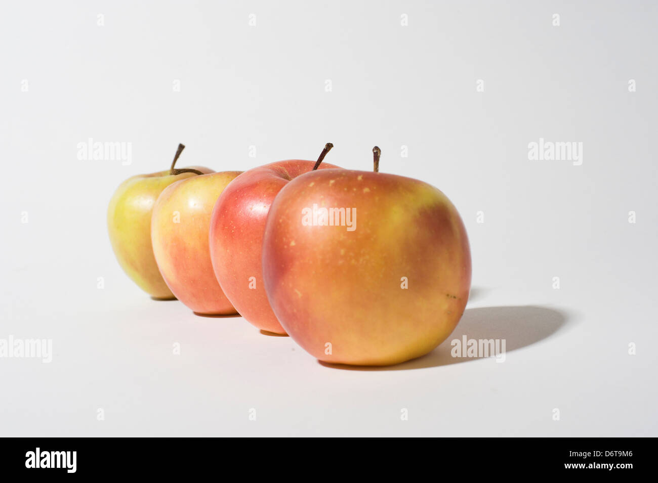 Organic Apples lined up in row on white background Stock Photo - Alamy