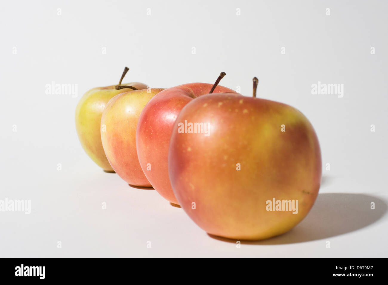Organic Apples lined up in row close up on white background Stock Photo ...